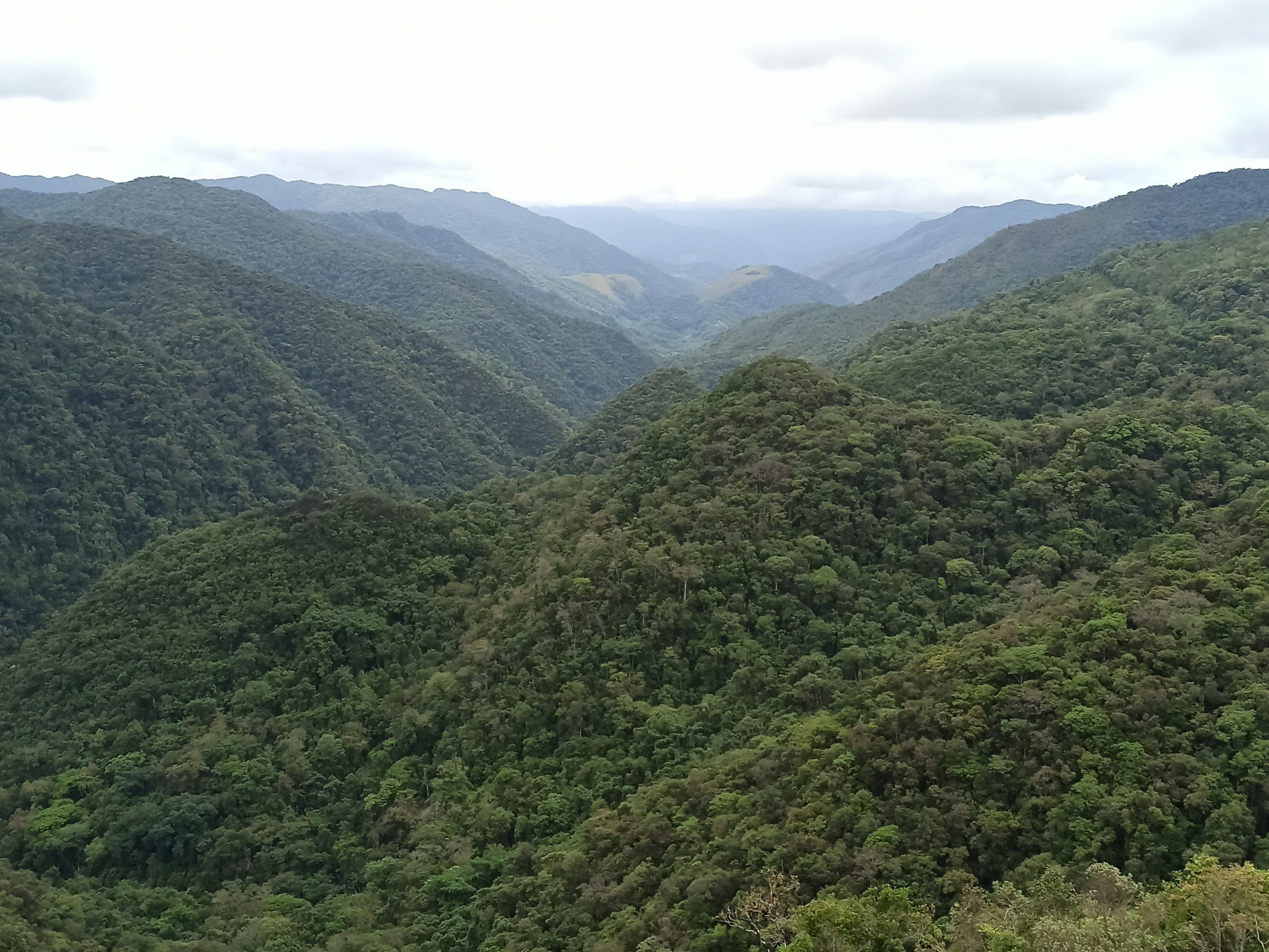 O Vale do Ribeira e a Riqueza de suas Águas | FunBEA